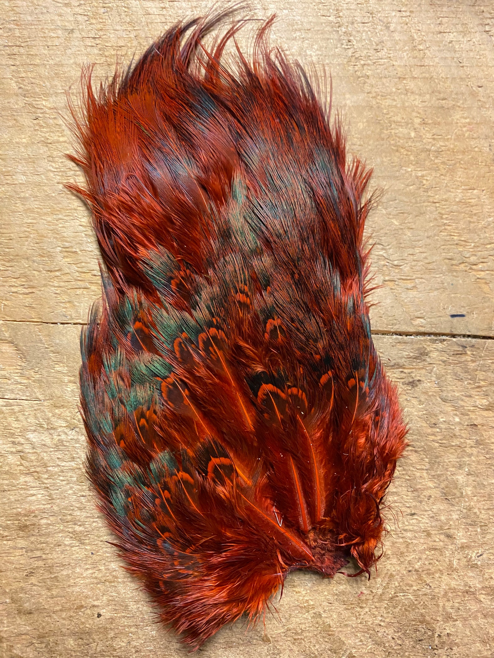 Pheasant Rump Patch: Church Pane Feathers Natural and Dyed - Etsy