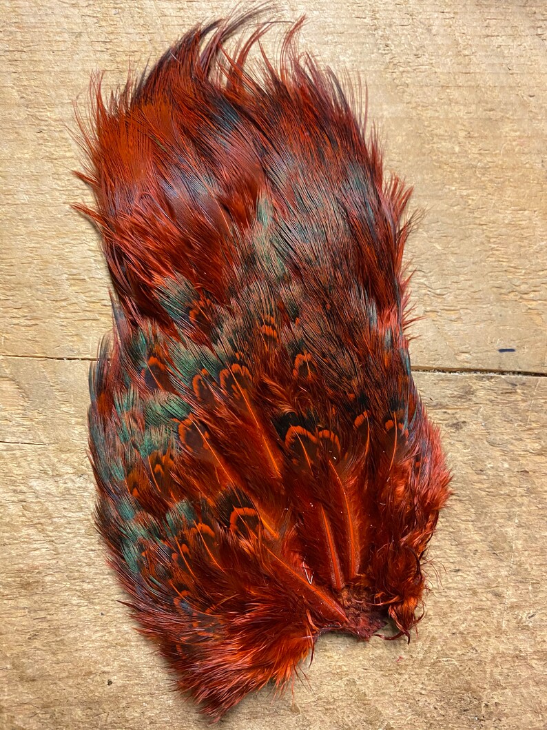 Pheasant Rump Patch: Church Pane Feathers Natural and Dyed | Etsy