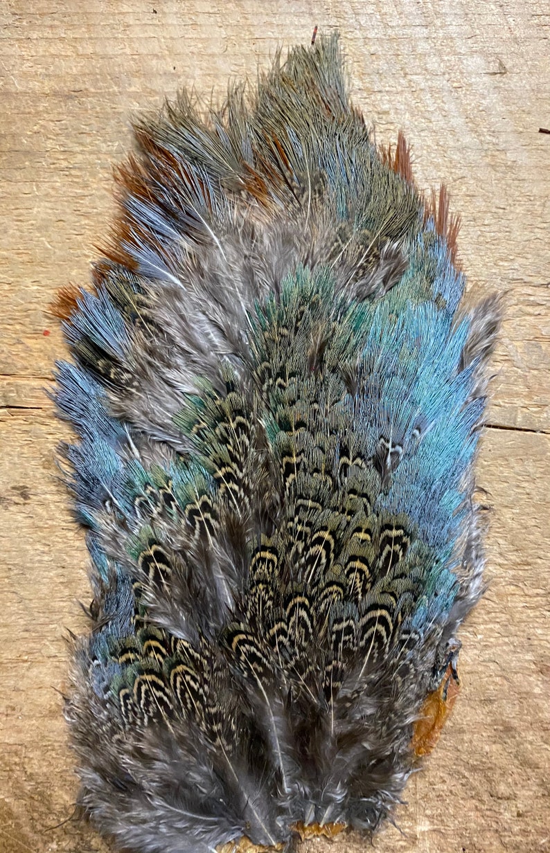 Pheasant Rump Patch: Church Pane Feathers Natural and Dyed | Etsy