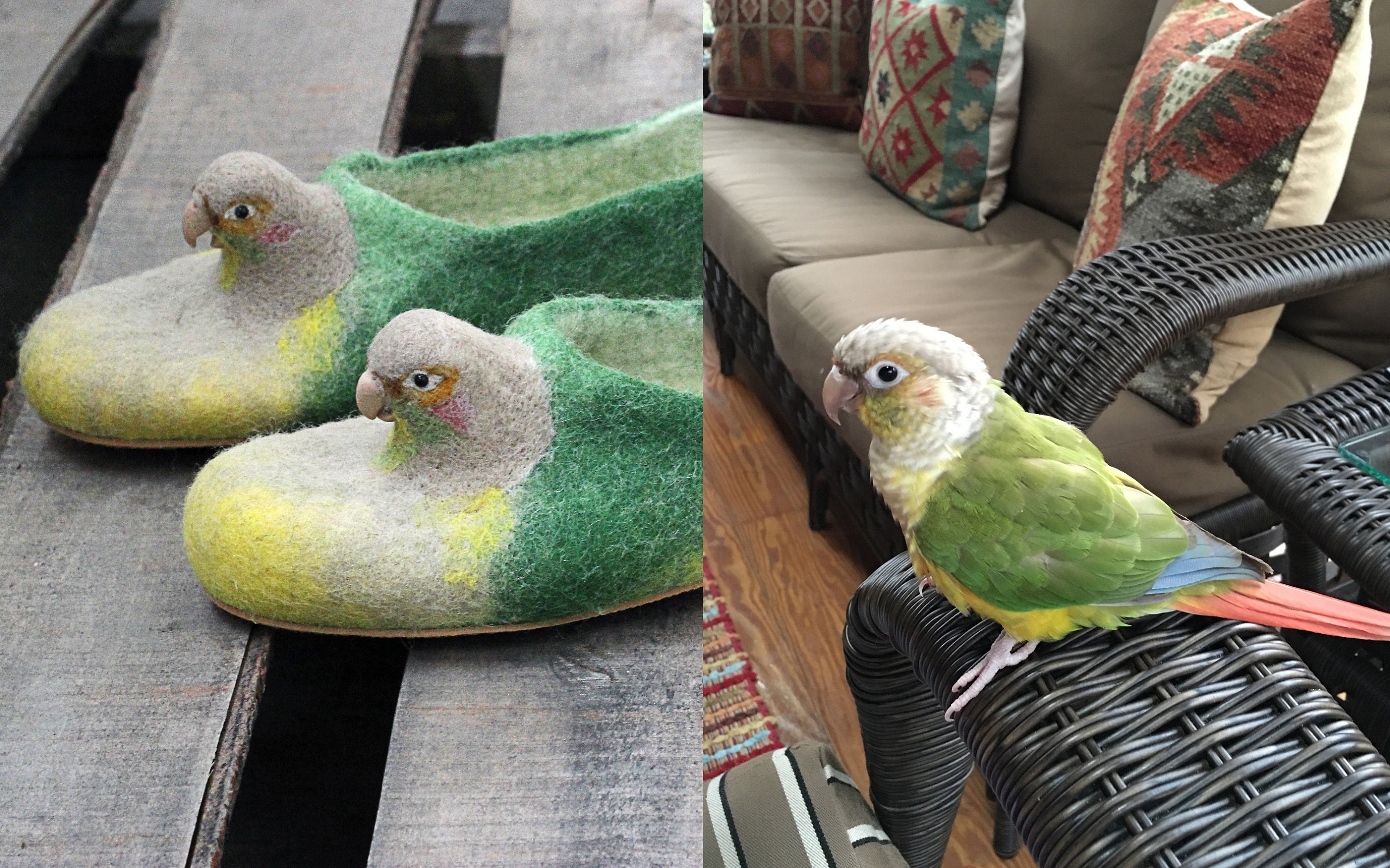 Conure bird custom slippers eco wool flat shoes natural | Etsy