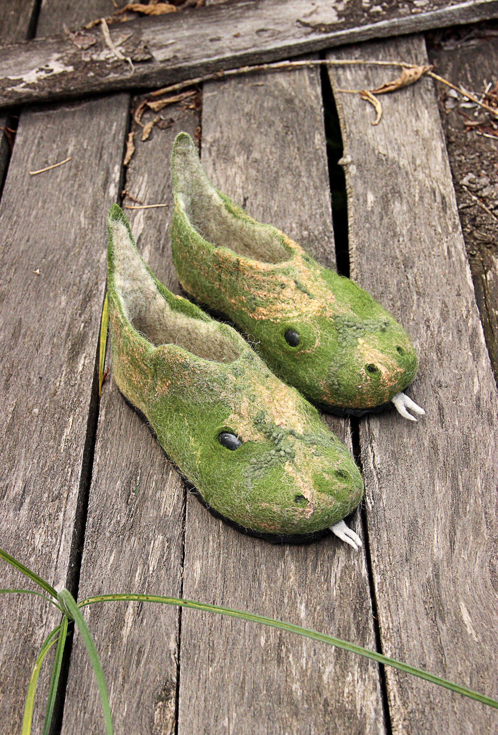 Monitor Lizard Unisex Slippers Pangolin Dino Dinosaur - Etsy UK