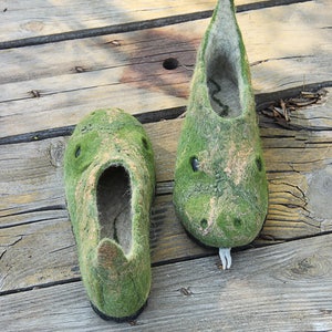 Monitor Lizard Unisex Slippers, Pangolin, Dino, Dinosaur, Varan Eco ...