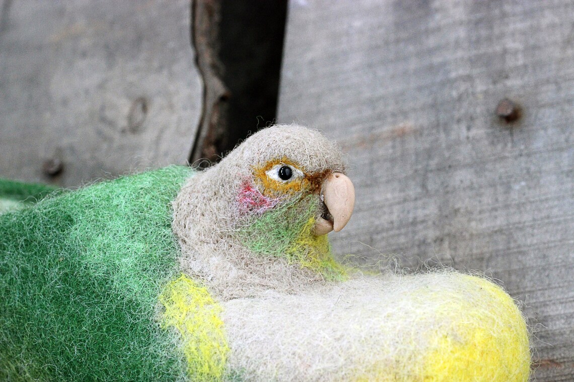 Conure bird custom slippers eco wool flat shoes natural | Etsy