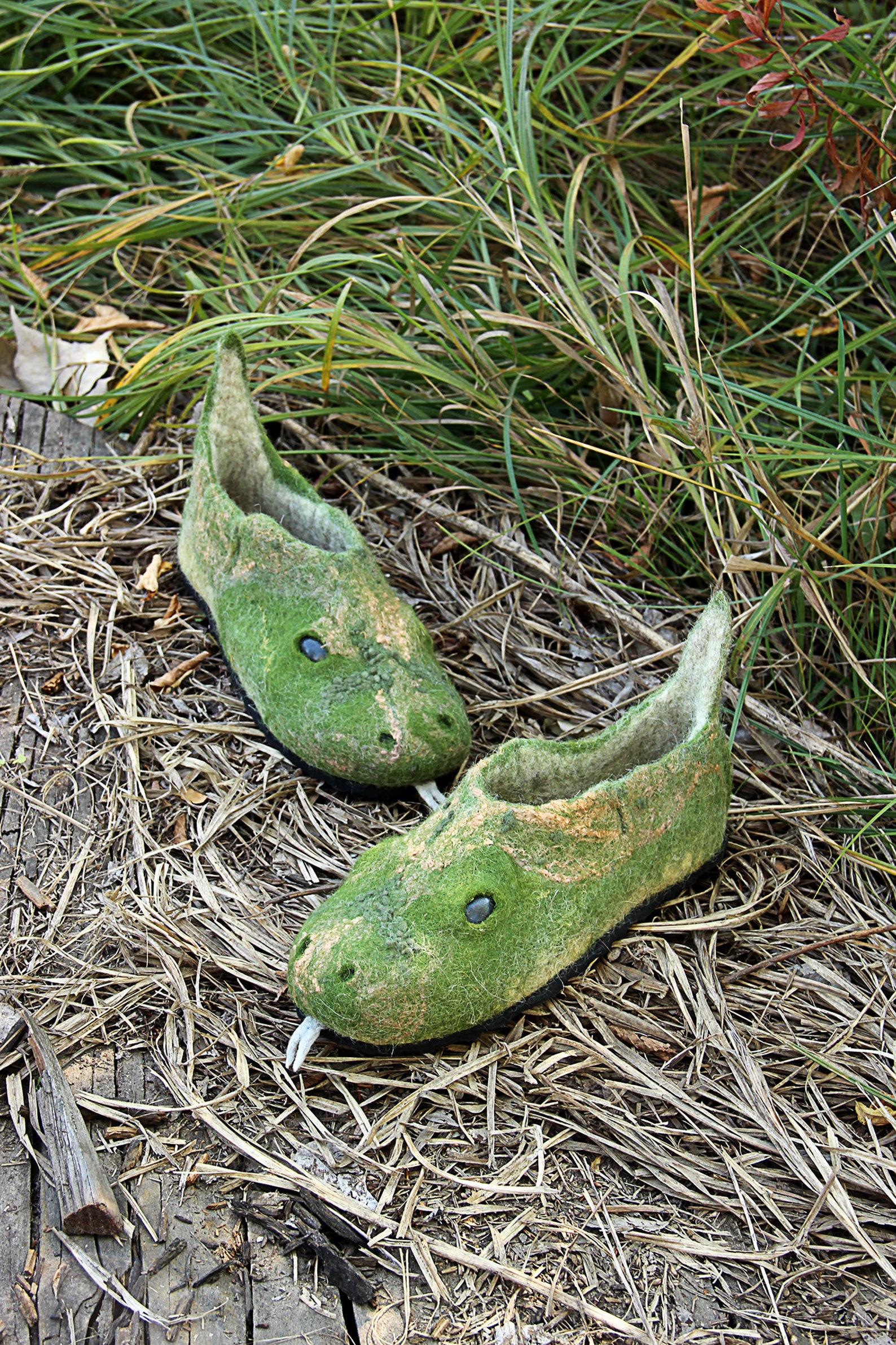 Monitor Lizard Unisex Slippers Pangolin Dino Dinosaur | Etsy