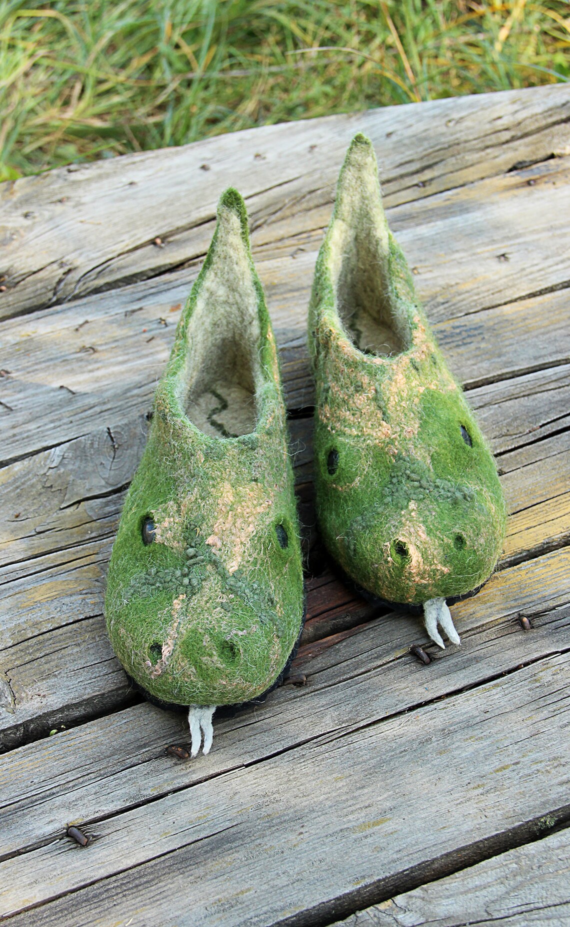 Monitor Lizard Unisex Slippers Pangolin Dino Dinosaur | Etsy