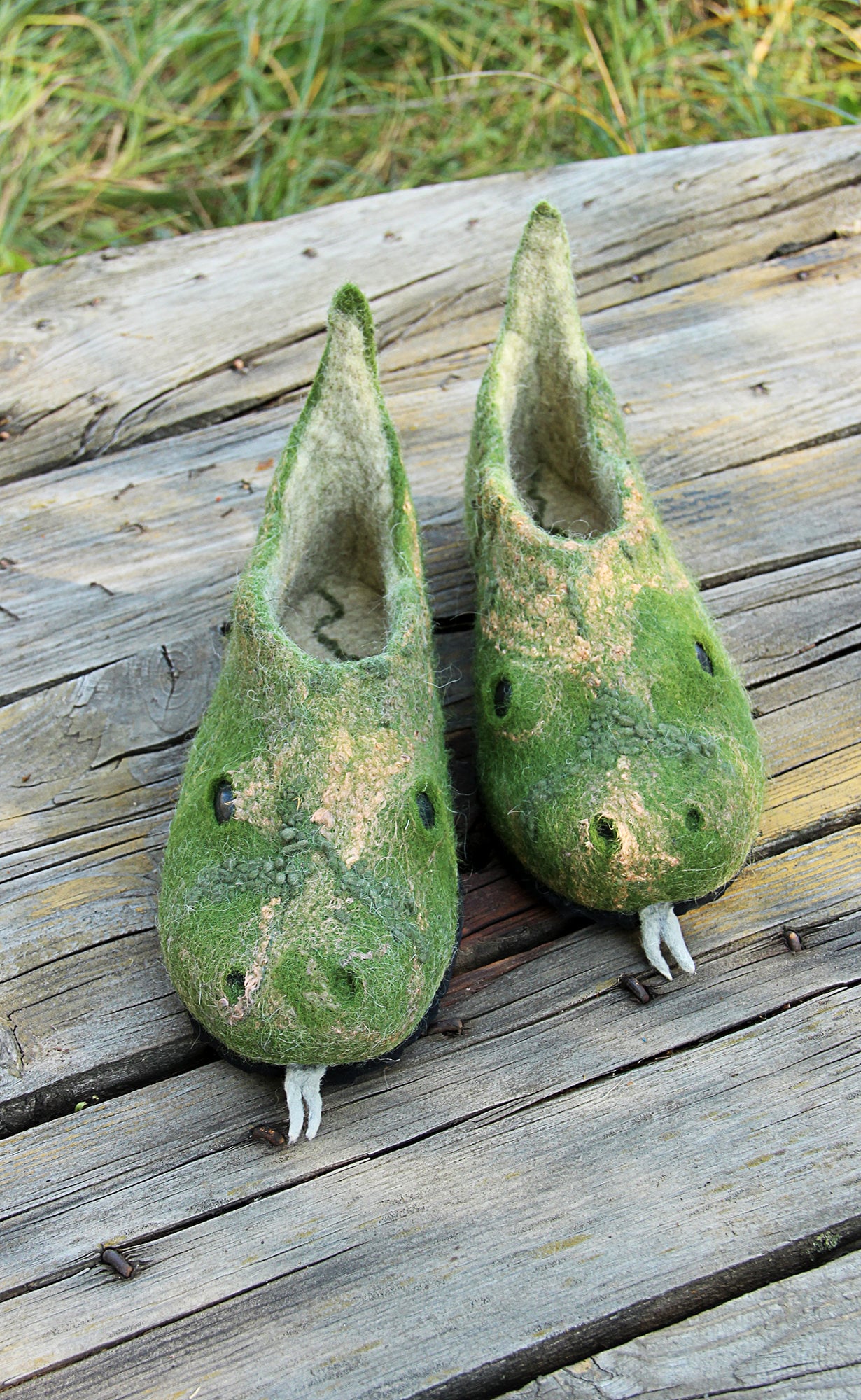 Monitor Lizard Unisex Slippers Pangolin Dino Dinosaur - Etsy UK