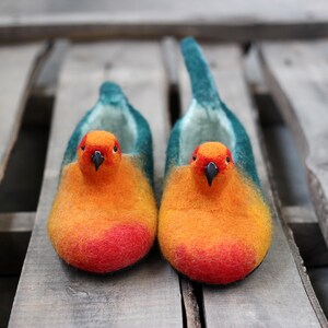 Green Parakeet Slippers, Orange Conure Wool Flat Shoes, Aratinga ...