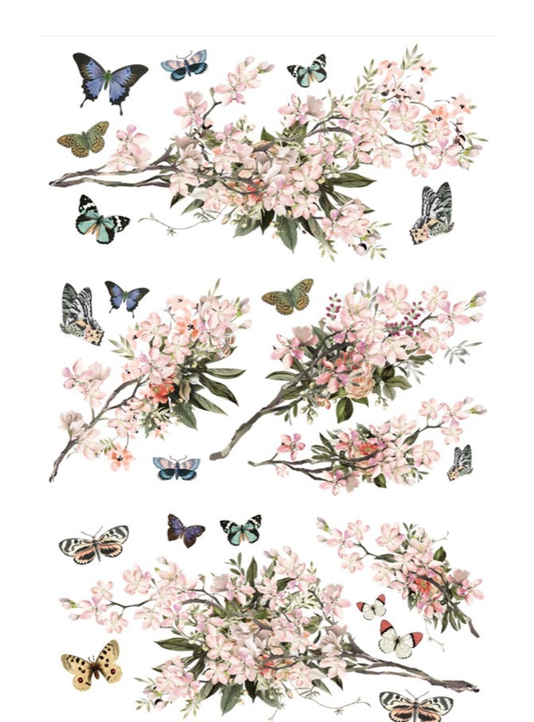 BLOSSOM BOTANICAL Decor Transfer Redesign With Prima 24x35 3 Sheets ...