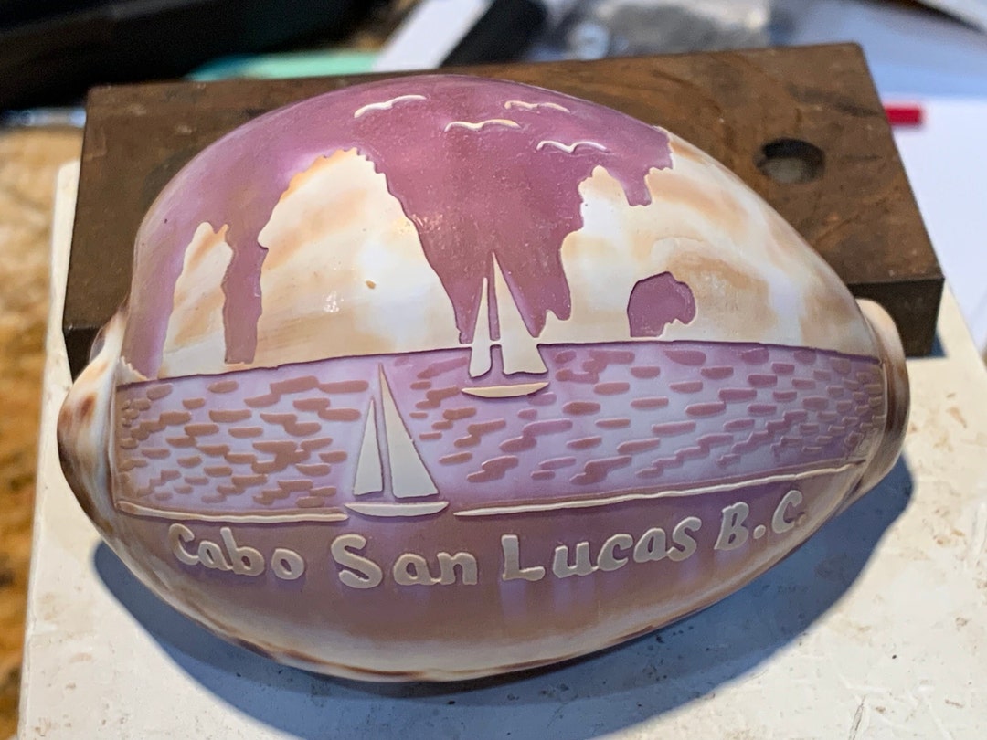 Cabo San Lucas B.C. Map Cowry Engraved Seashell Rare Original Lip ...