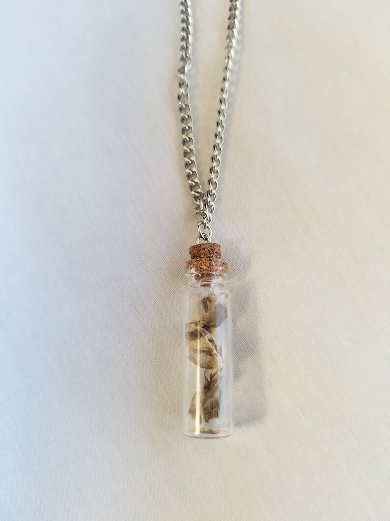 Moorish Viper Shed Glass Bottle Pendant Necklace - Etsy