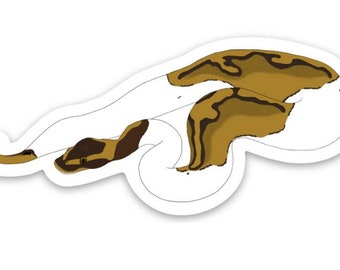 Piebald Ball Python - Etsy