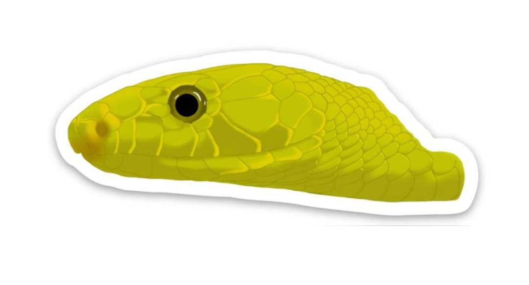 Green Mamba Sticker - Etsy