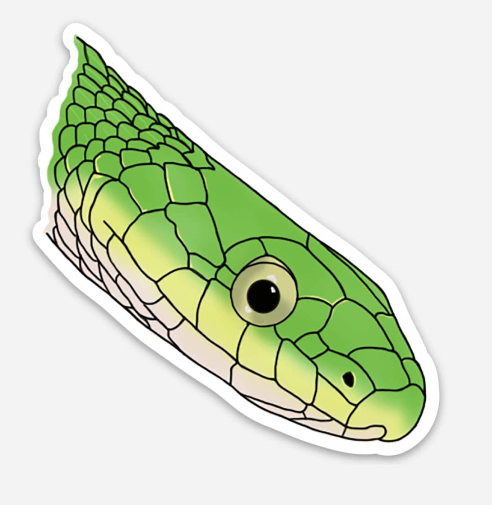 Rough Green Snake Sticker - Etsy
