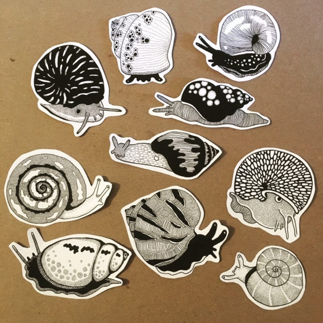 Snail Sticker Pack!! - Etsy
