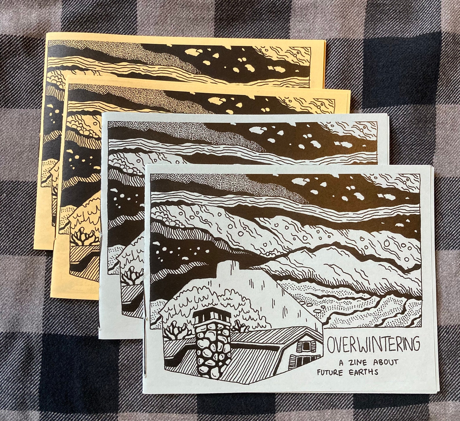 Overwintering a Zine About Future Earths - Etsy