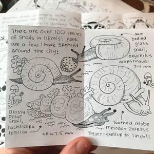 City Inverts (bug Zine!) - Etsy