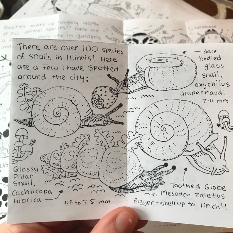City Inverts (bug Zine!) - Etsy
