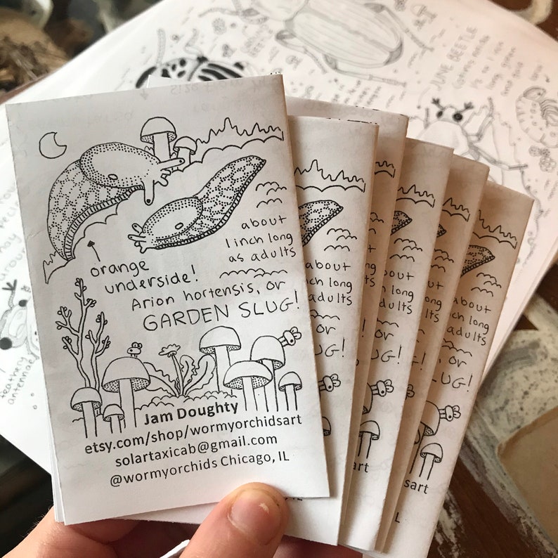 City Inverts bug Zine | Etsy