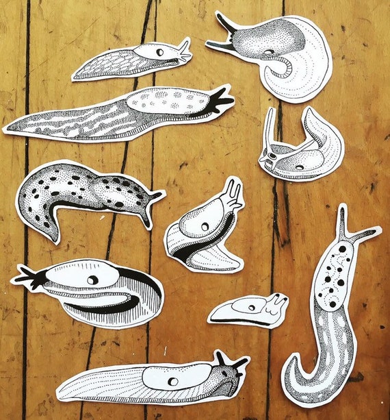 SLUG PARTY Sticker Set 10 - Etsy