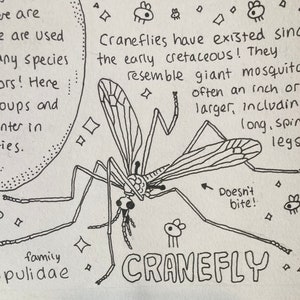 City Inverts 4! - Etsy