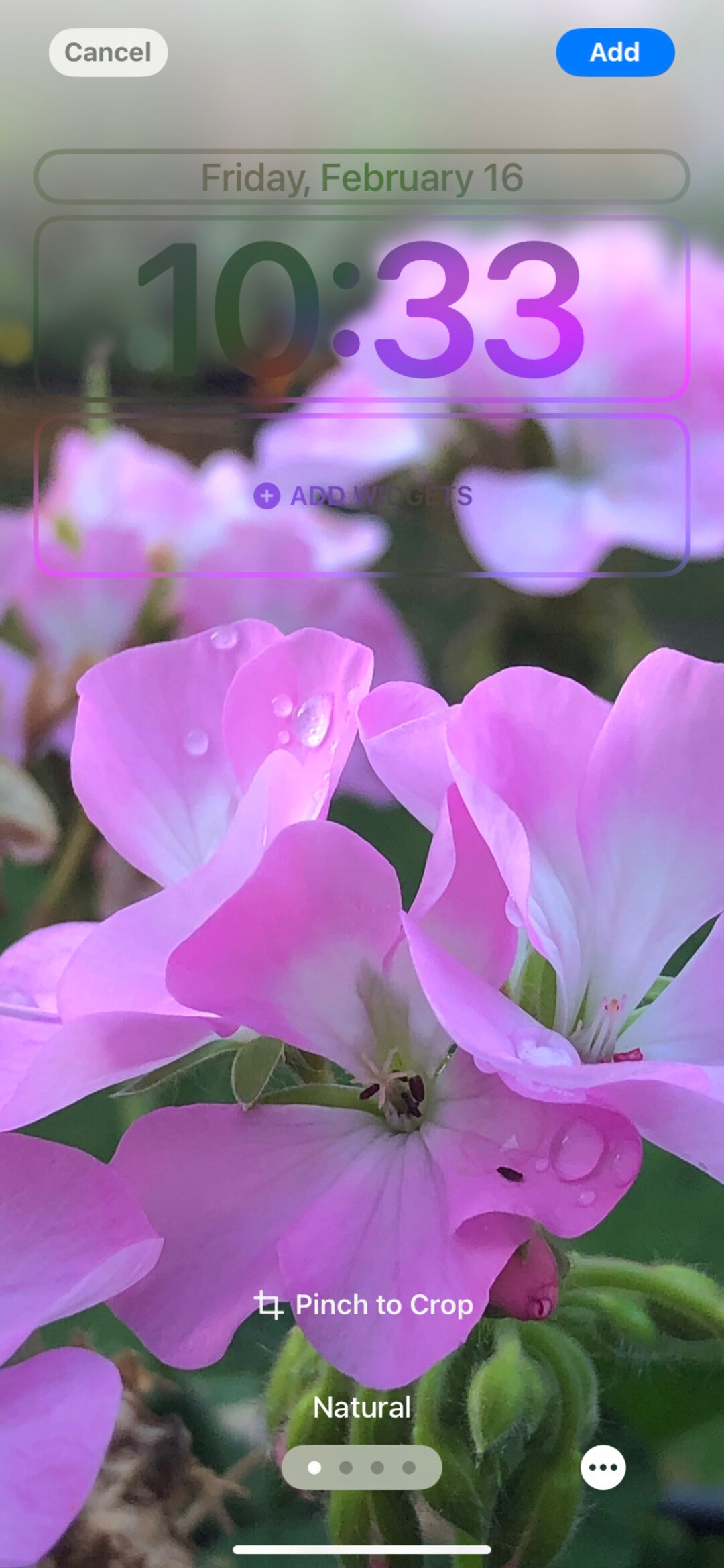 Pink Geranium Wallpaper, Smartphone Wallpaper, Digital Download, iPhone ...