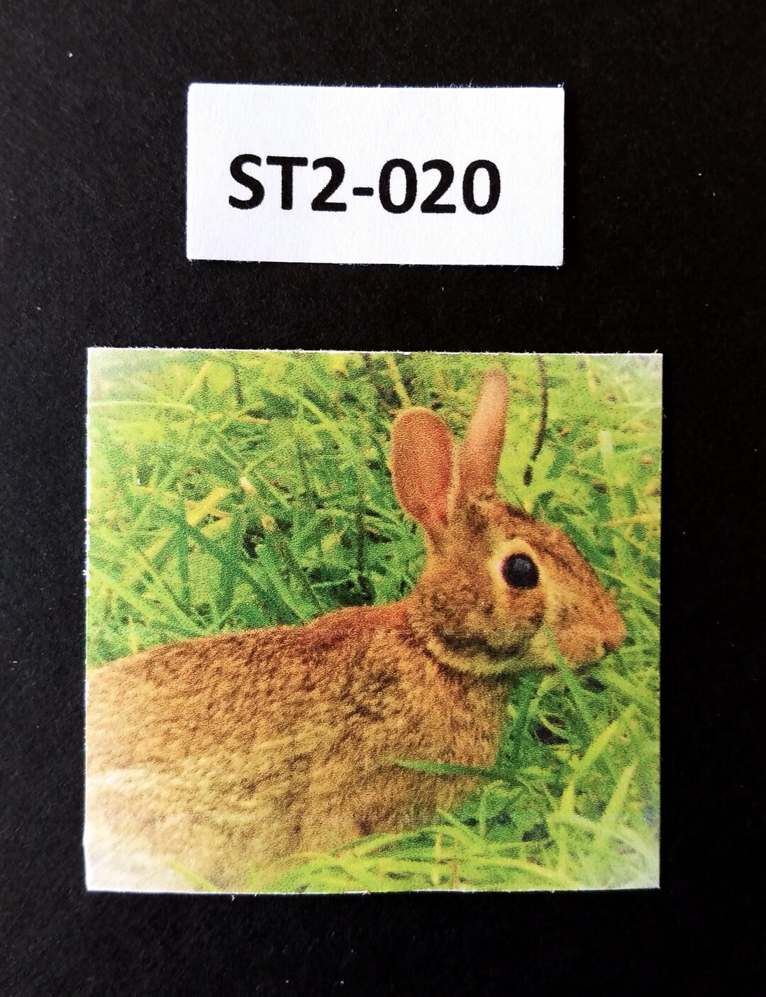 Oscar - Medium Sticker - Etsy