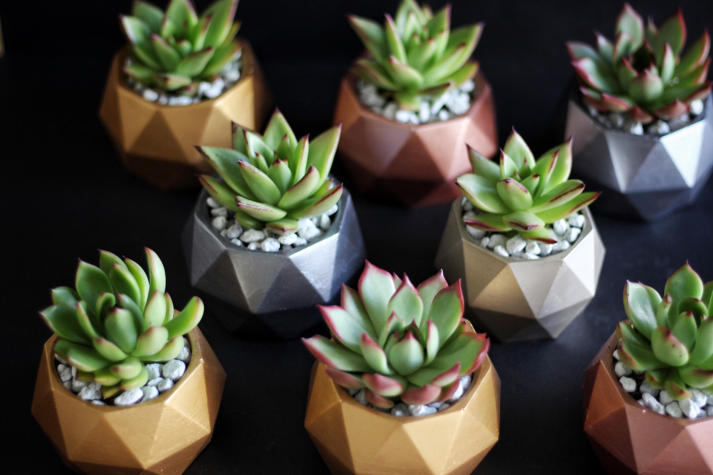 SPHERE Concrete Planter - Etsy Canada