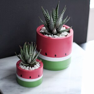 WATERMELON CYLINDER Concrete Planter, Table Planter, Housewarming Gift ...