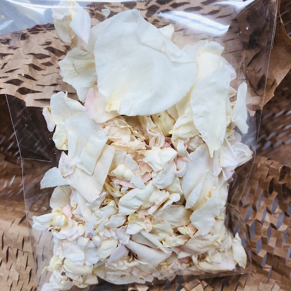 Biodegradable Confetti - Etsy