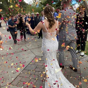 Merlot Rose Petals.30 Cups.petals.flower Petals.flower Confetti.freeze ...