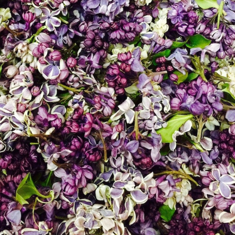 Lilacs Flower Fabric - Etsy