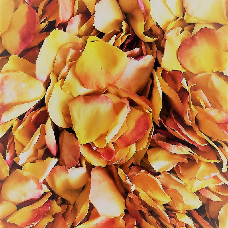 Dried Confetti Gold - Etsy