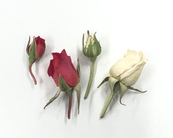 Bunch of Mini Dried Roses Naturally Dried Roses Crafts - Etsy
