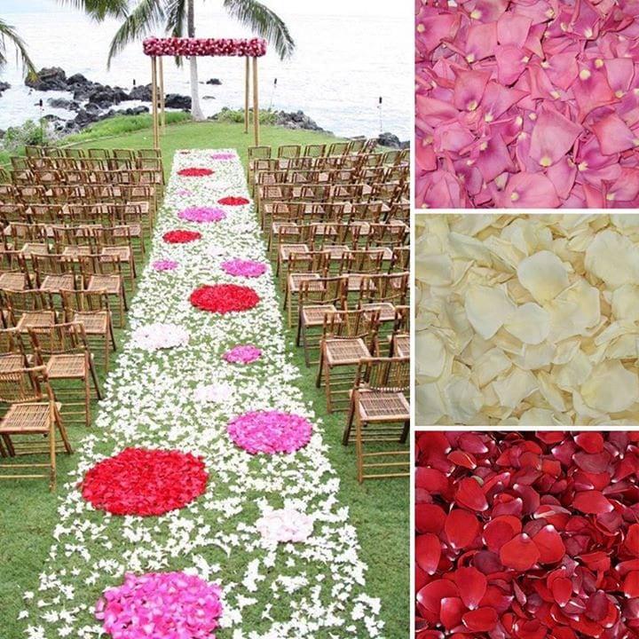 Rose Petals.wedding Bliss Blend.10 Cup.flower Petals. Wedding - Etsy