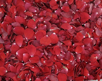 Red Rose Confetti | Etsy