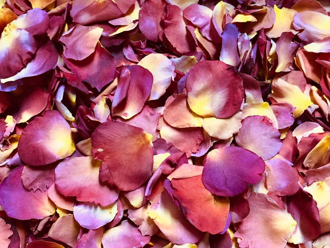 10 Cups Colorific™ Rose Petals Freeze-dried. Wedding Petals. Craft ...