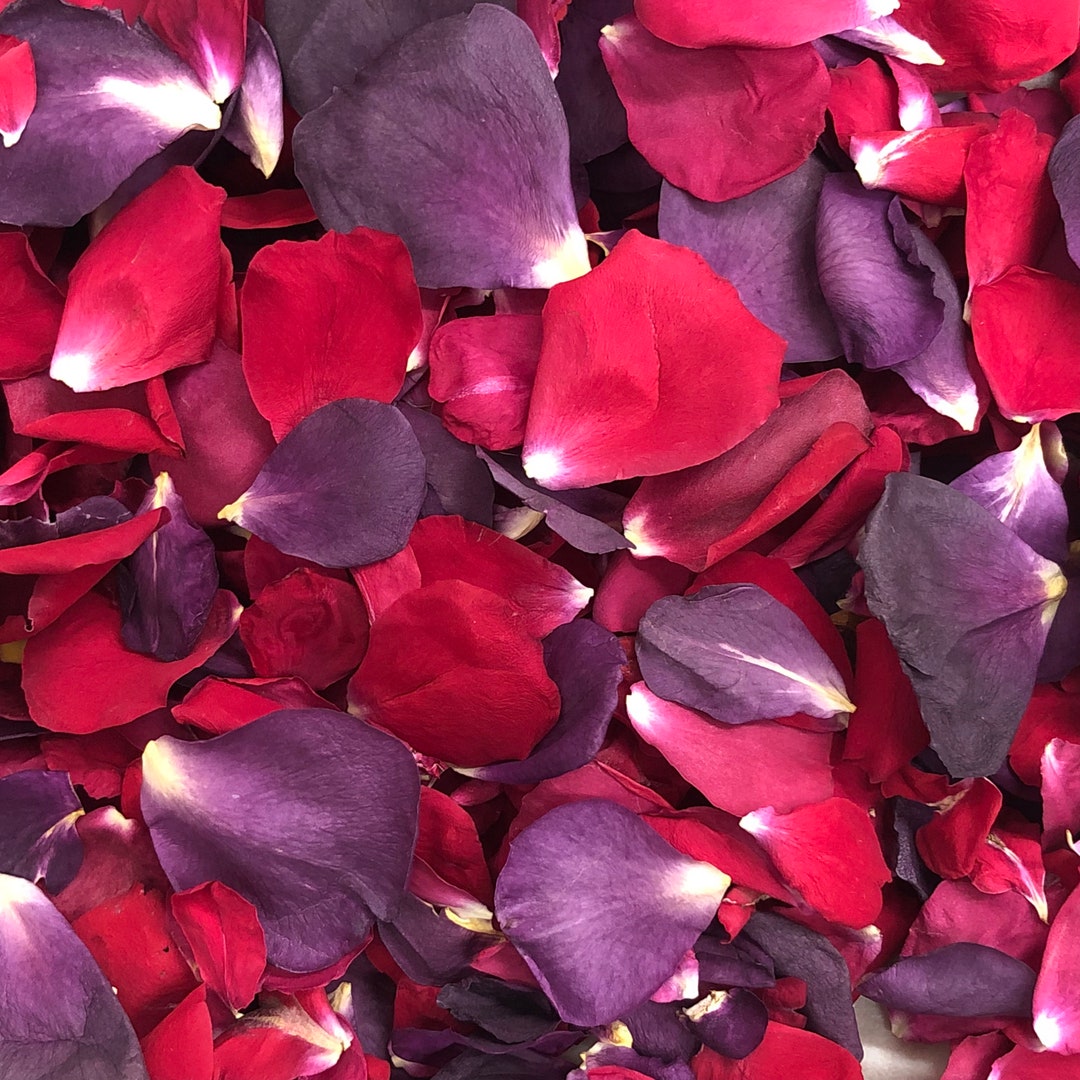 30 Cups Royal Passion Rose Petals. Real Rose Petals. Wedding Petals ...
