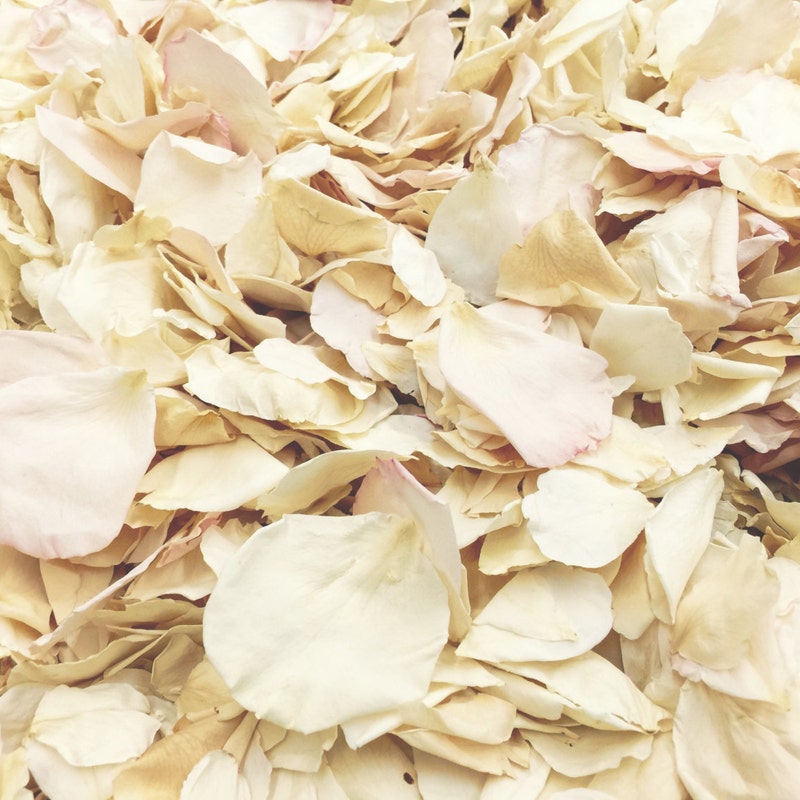 Organic Confetti - Etsy