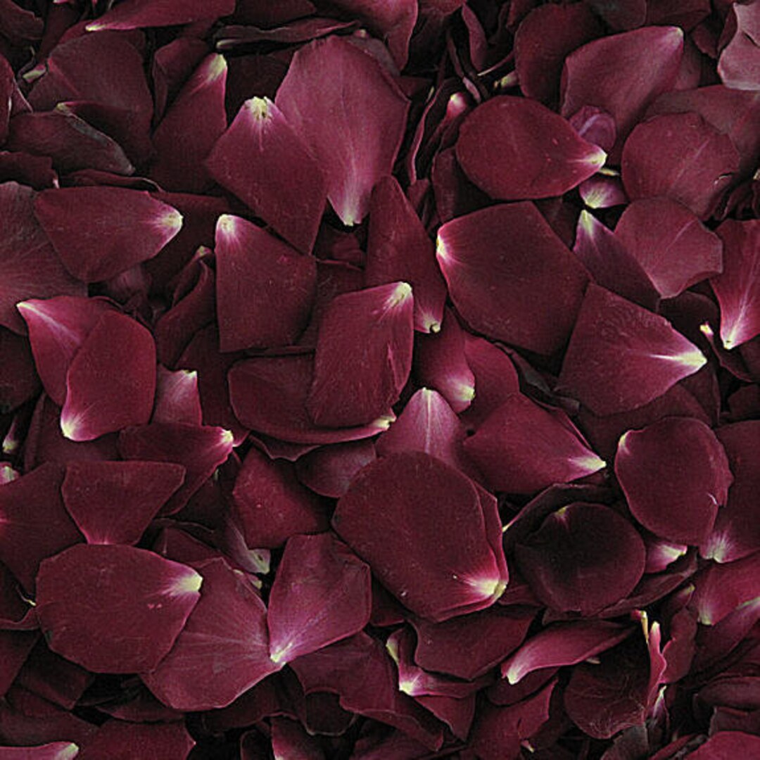 Merlot Rose Petals.30 Cups.petals.flower Petals.flower Confetti.freeze ...
