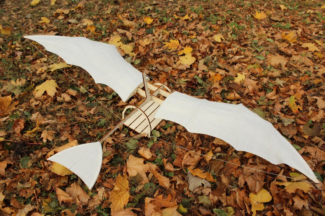 Leonardo Da Vinci Inspired Glider (double Size) - Etsy