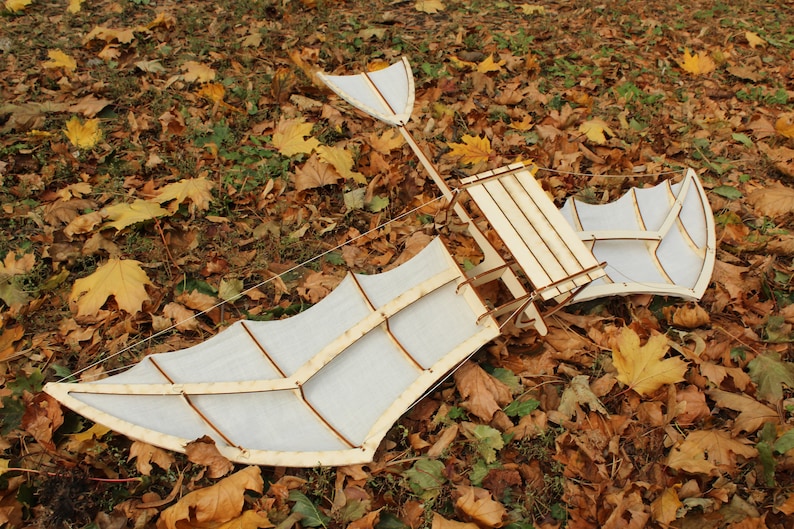 Leonardo Da Vinci Inspired Glider (double Size) - Etsy