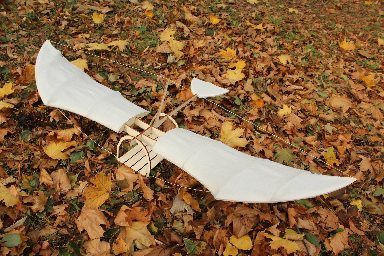 Leonardo Da Vinci Inspired Glider (double Size) - Etsy