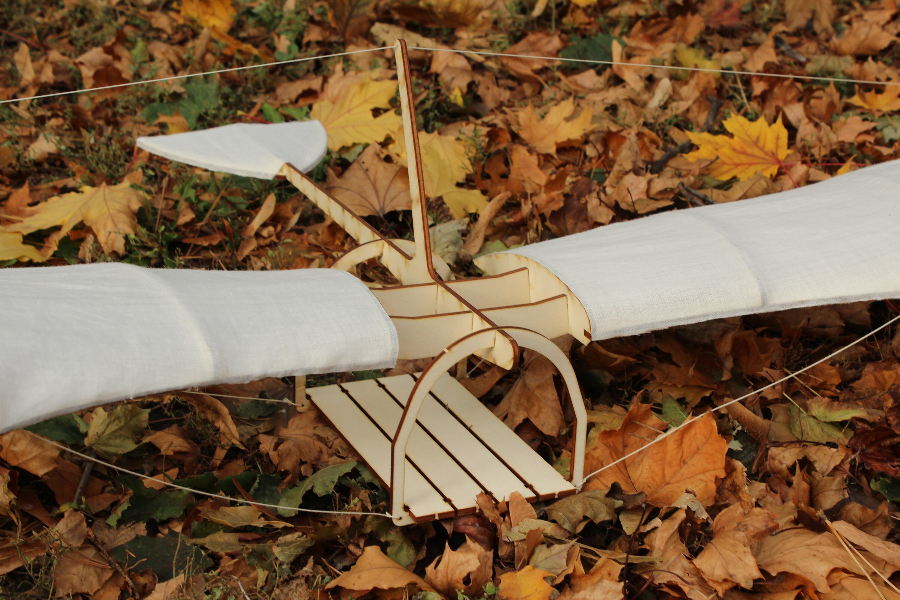 Leonardo Da Vinci Inspired Glider (double Size) - Etsy