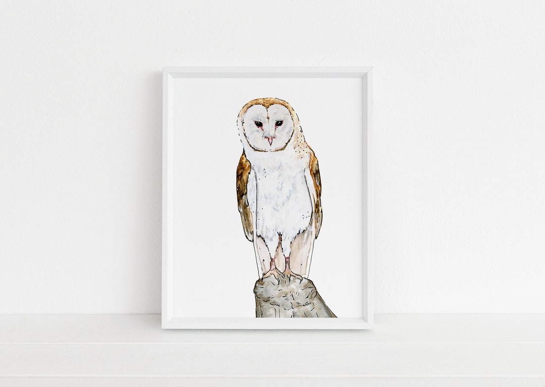 Barn Owl Art Print, Owl, Bird, Rustic Modern, Home Decor, Wall Decor - Etsy