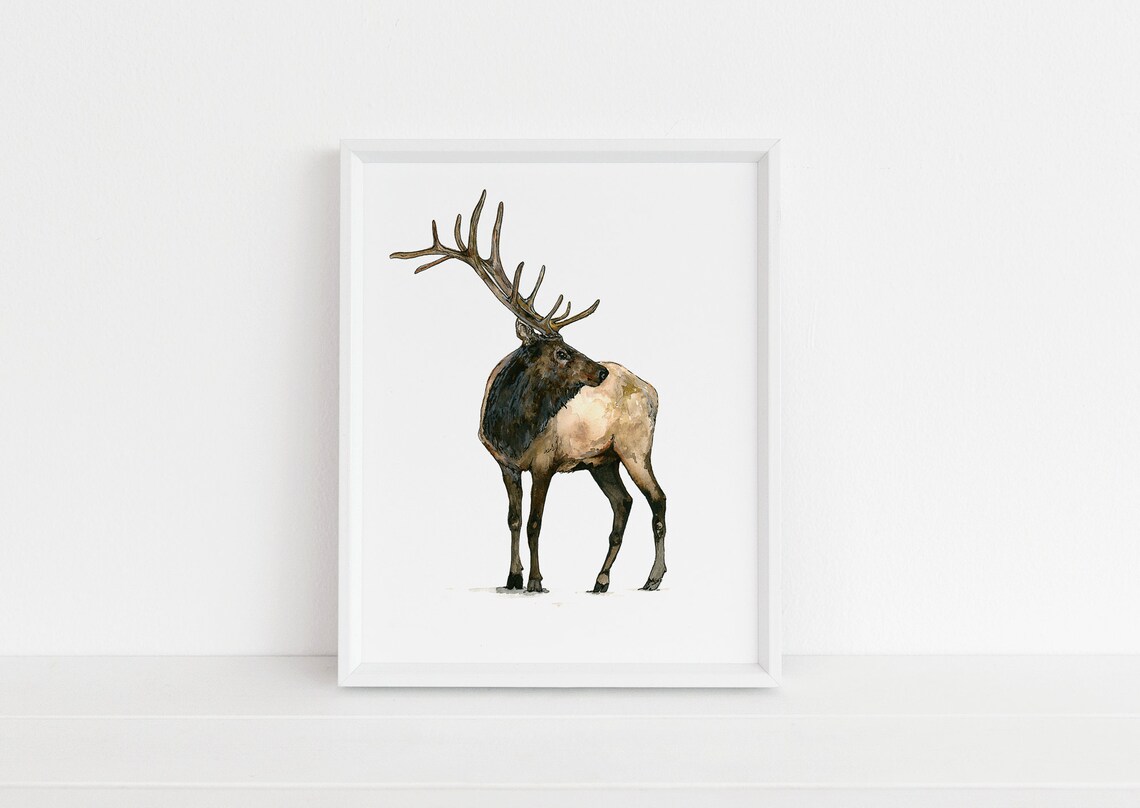 Elk Art Print Wild Animal Woodland Animal Elk Antler | Etsy