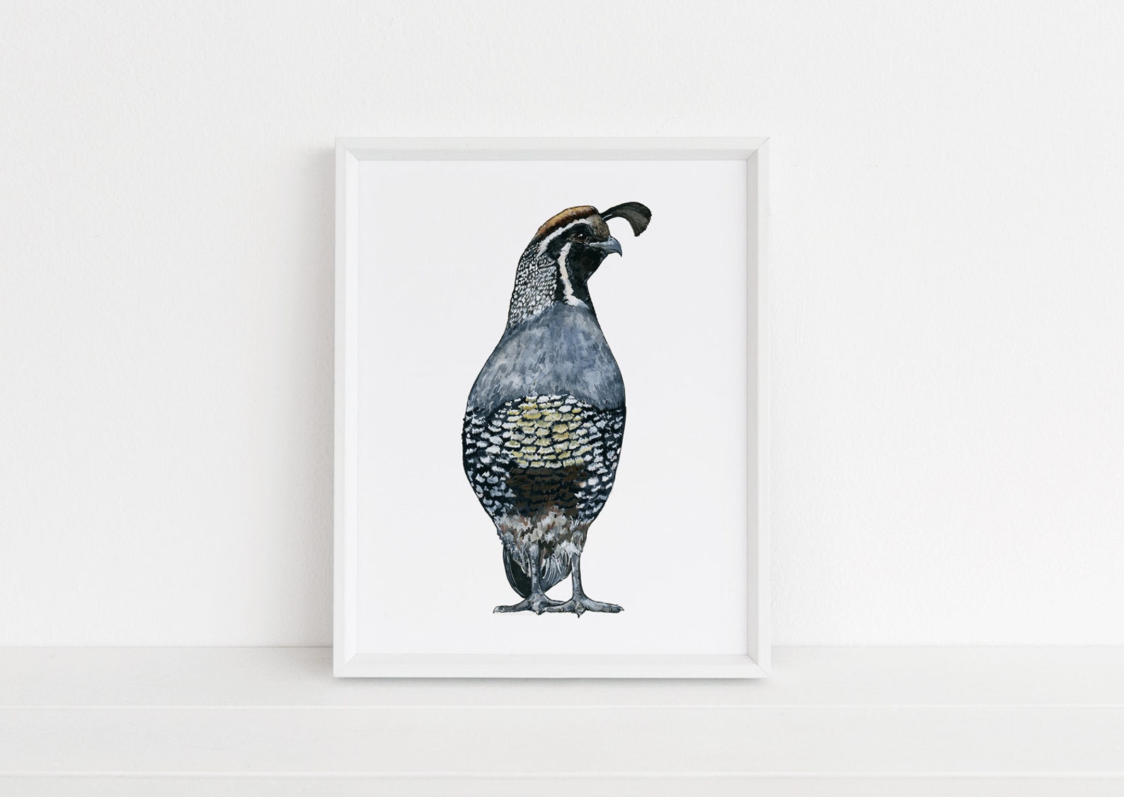 Quail Art Print, Bird, PNW - Etsy