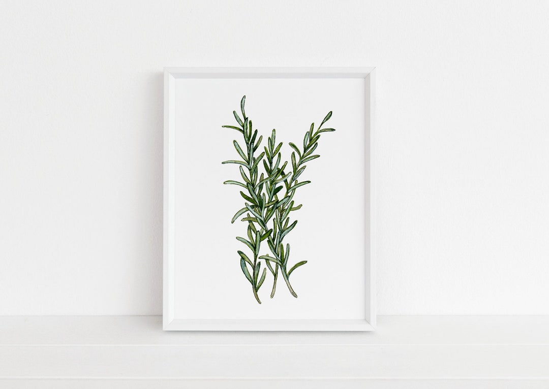 Rosemary Art Print- Herb, Kitchen Decor, Garden, Greenery, Watercolor ...