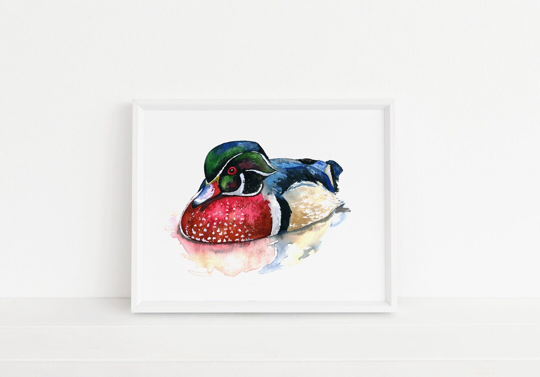 Wood Duck Art Print, Bird, PNW, Home Decor, Wall Decor, Rustic - Etsy