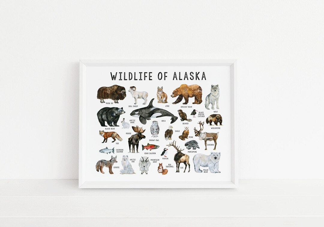 Wildlife of Alaska Art Print, Alaska, Collage, Wildlife, Animals ...