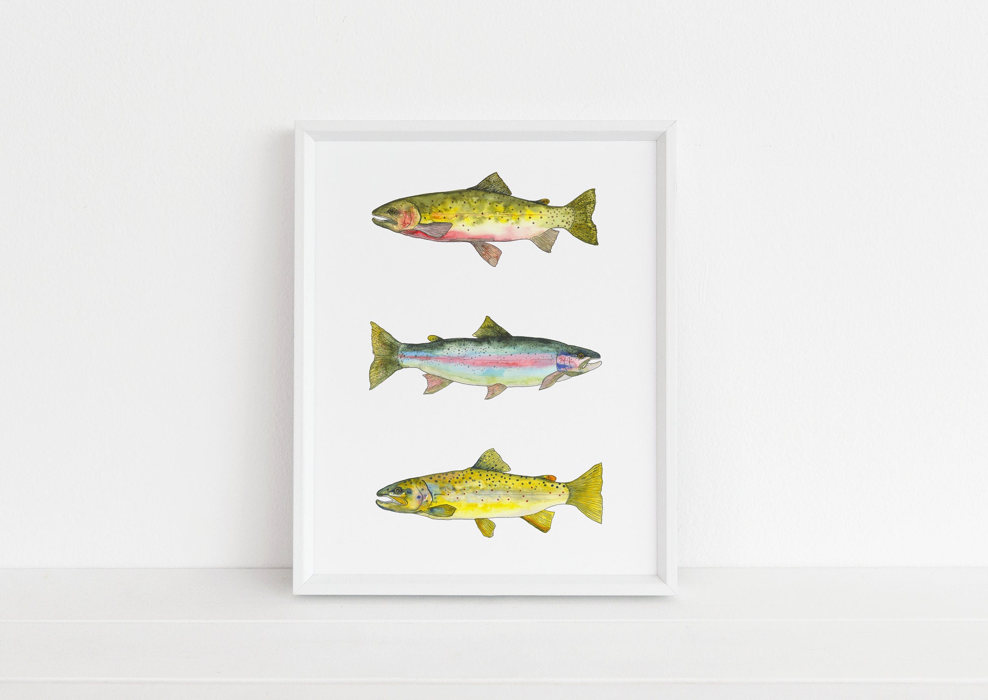 Trout Trio Watercolor Art Print Fish Fishing Fly Fishing - Etsy